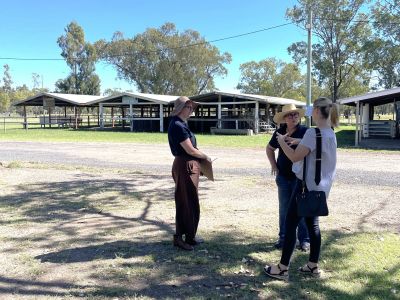 Dalby Showgrounds Master Plans | Showgrounds Master Plans | Have Your ...